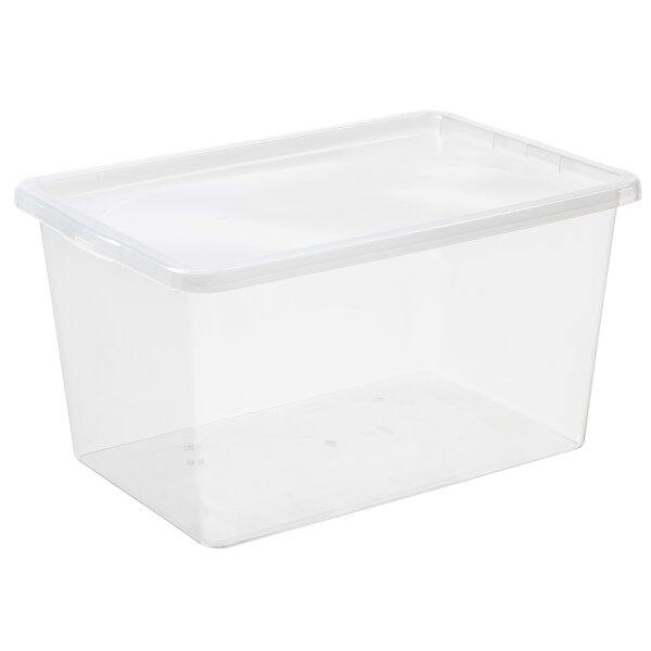 plast team Aufbewahrungsbox BASIC BOX, 31,0 Liter | Internetstore.ch
