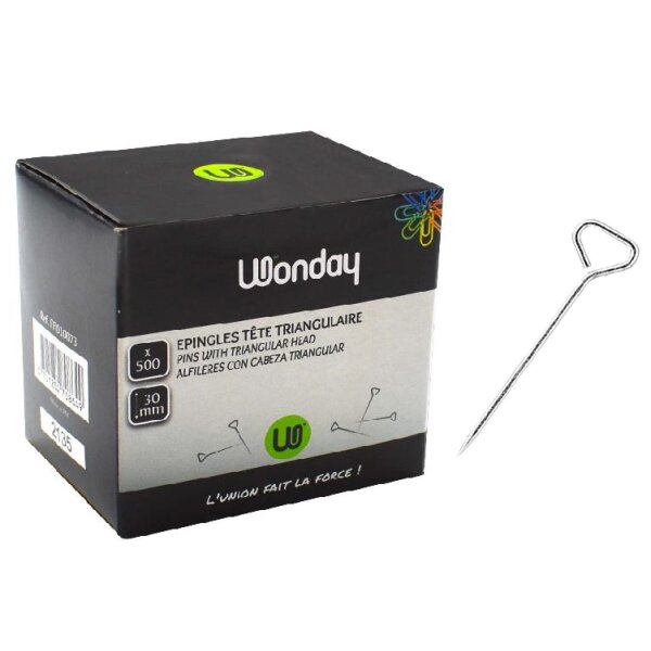 Wonday Stecknadel mit dreieckigem Kopf, vernickelt | Internetstore.ch