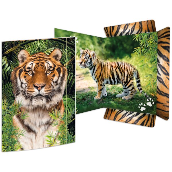 RNK Verlag Zeichnungsmappe "Tiger", Karton, DIN A3 | Internetstore.ch